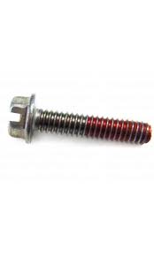 Pentair 355389 Impeller Locking Screw Replacement Pool and Spa Ingroun ...
